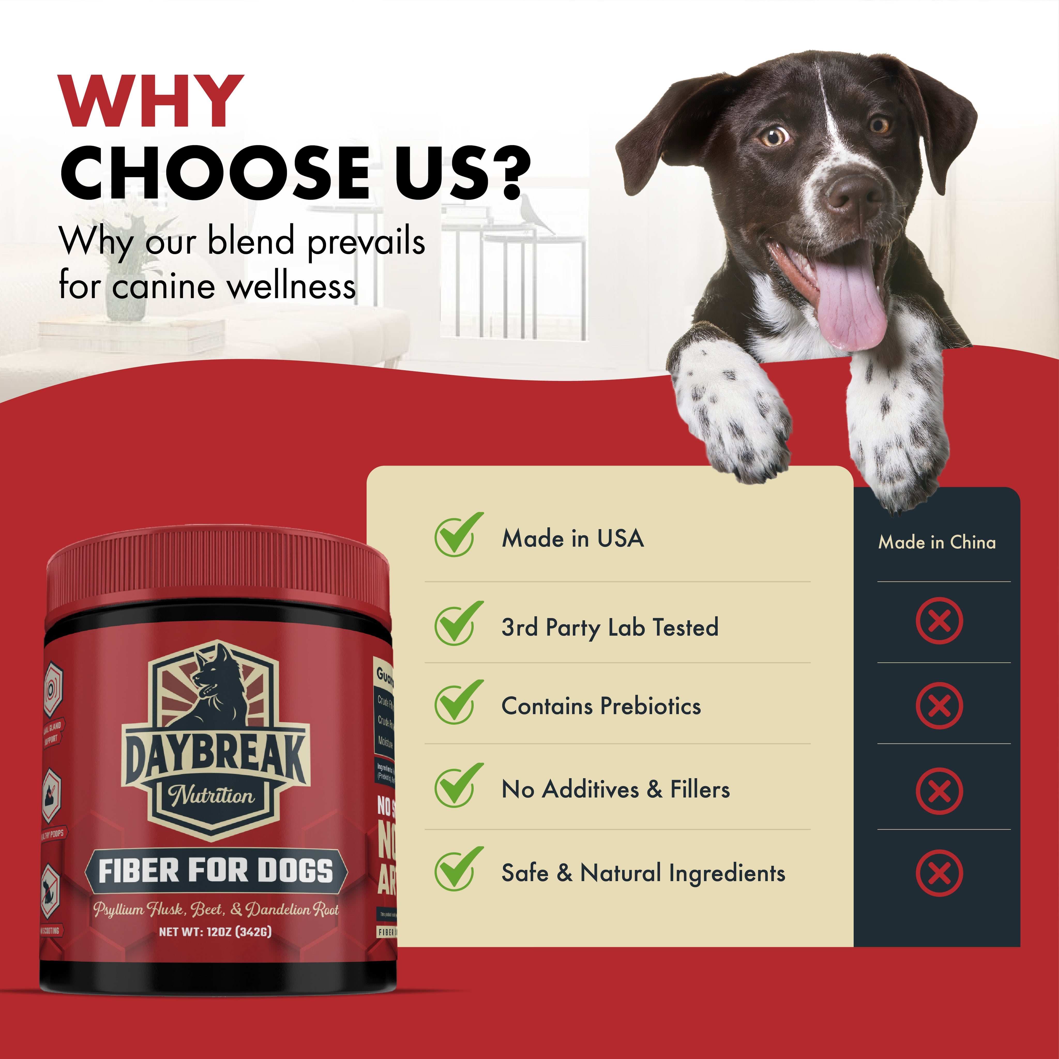 Fiber for Dogs by Daybreak Nutrition | Psyllium Husk, Beet Root ...