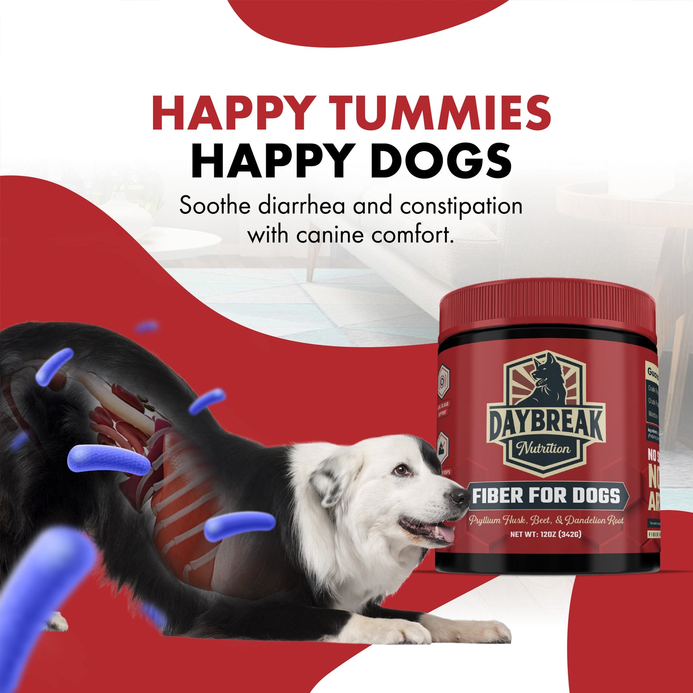 Fiber for Dogs by Daybreak Nutrition | Psyllium Husk, Beet Root ...