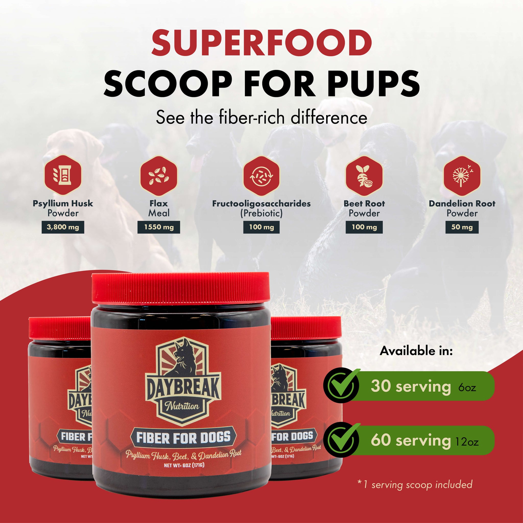 Fiber for Dogs by Daybreak Nutrition | Psyllium Husk, Beet Root ...